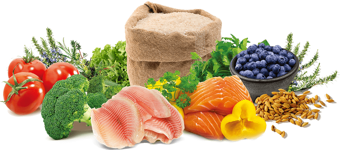 Royal Classic is the Wholesale and Retail dealer